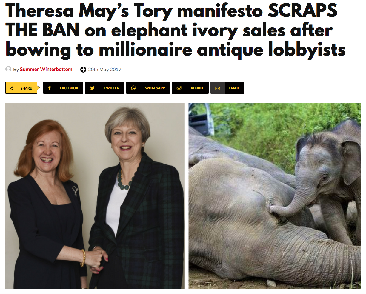 Our Work | Evolve Politics